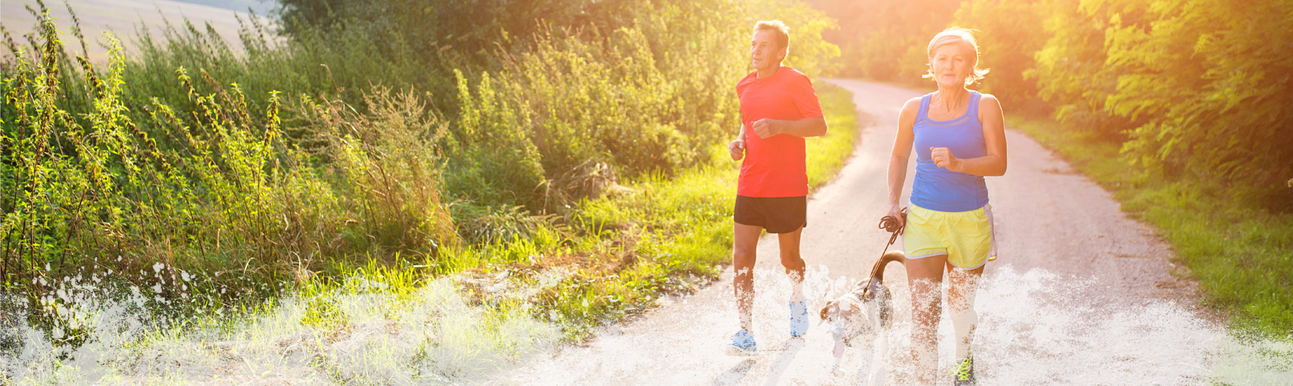 Curavisc - Bioventus